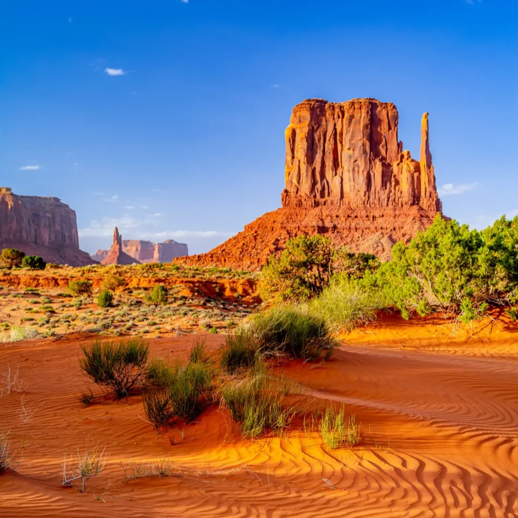 Cosa fare e vedere a Yellowstone